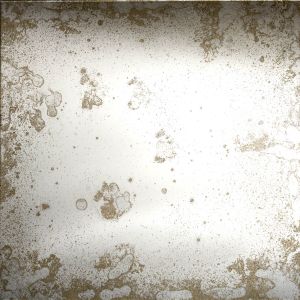 DS8 Fossil Bronze - Dominic Schuster