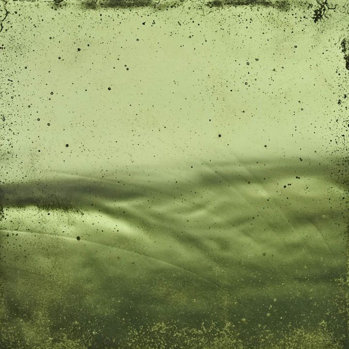 Apple Green - Dominic Schuster