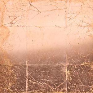 Copper Leaf - Dominic Schuster