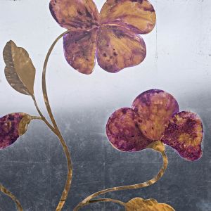 Poppies - Dominic Schuster